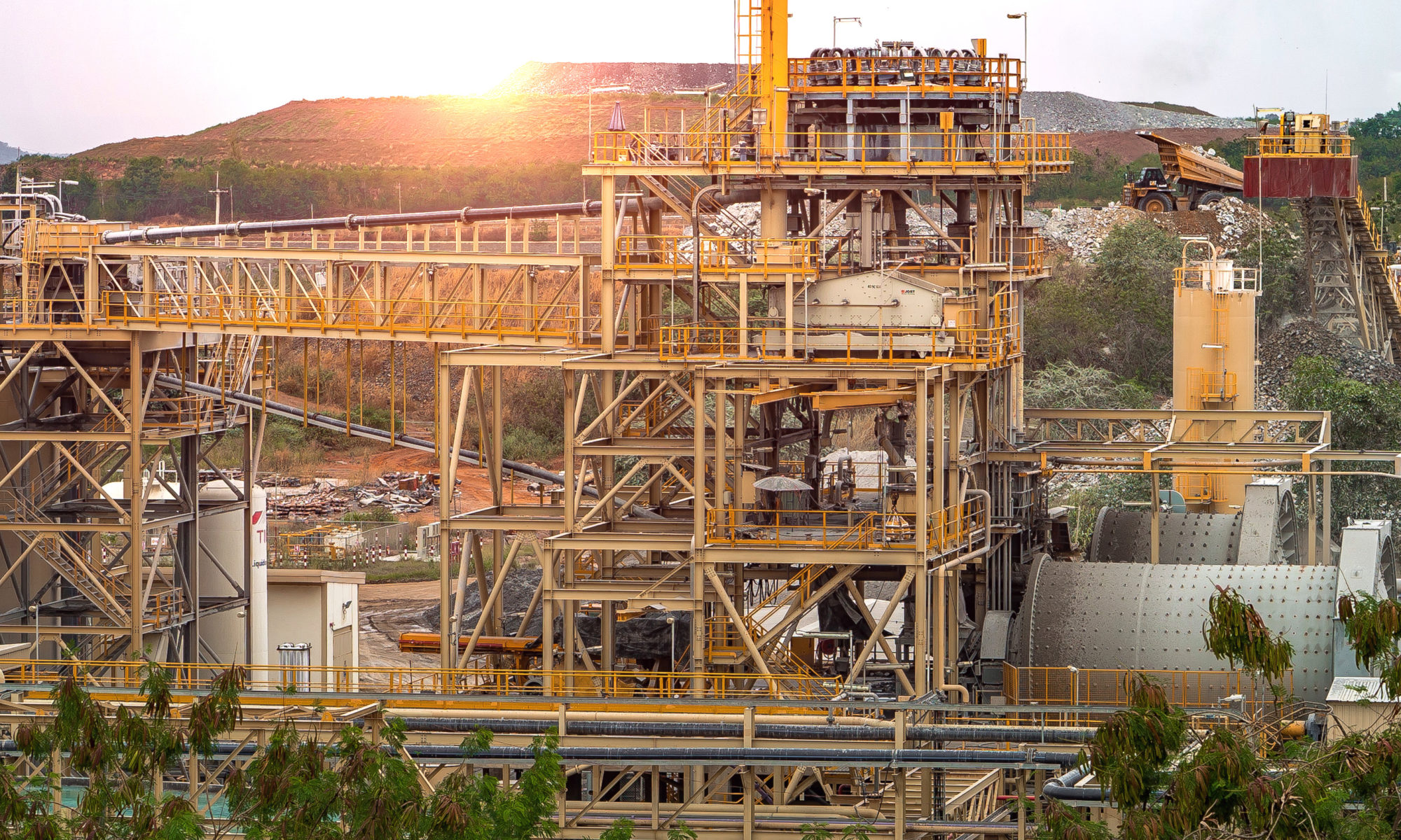 Plant specialisations – Encore Mining